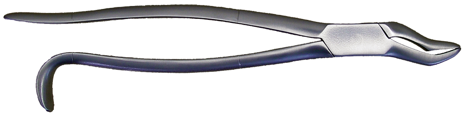 10 Inch Incisor Forceps – Capps Manufacturing